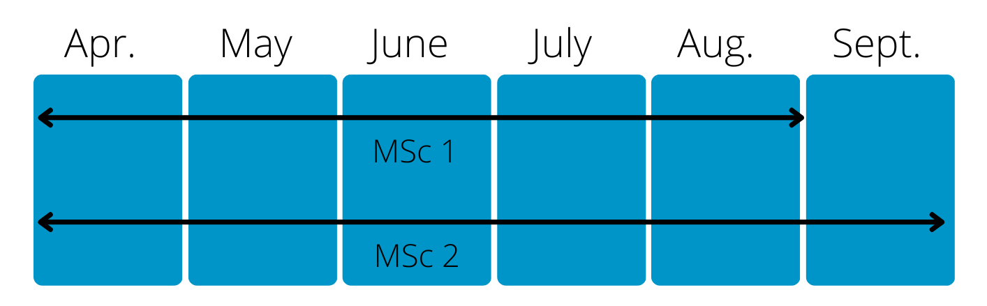 Internship - Université Côte d'Azur